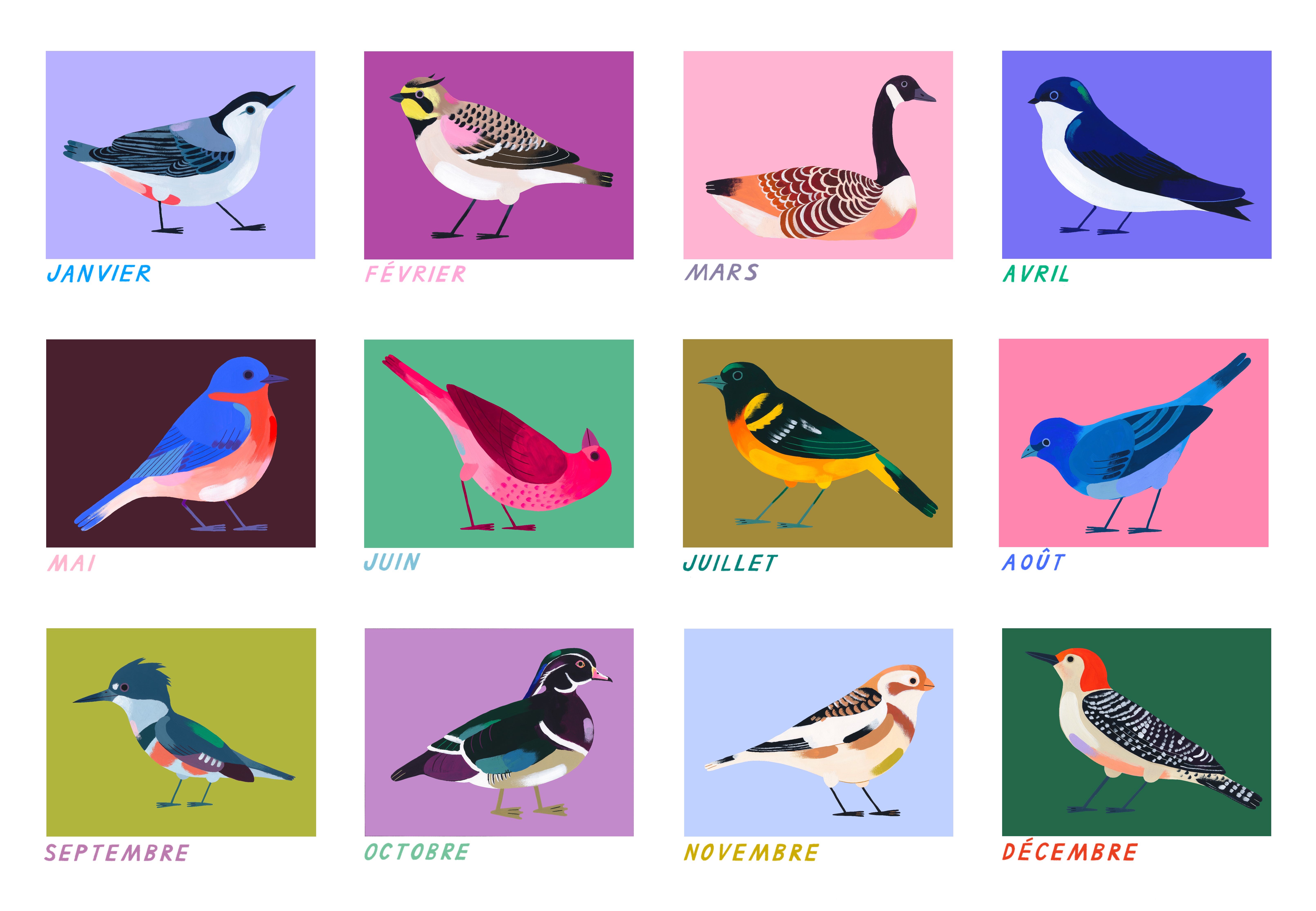 2024 Calendar - Birds of Quebec | La Ruche