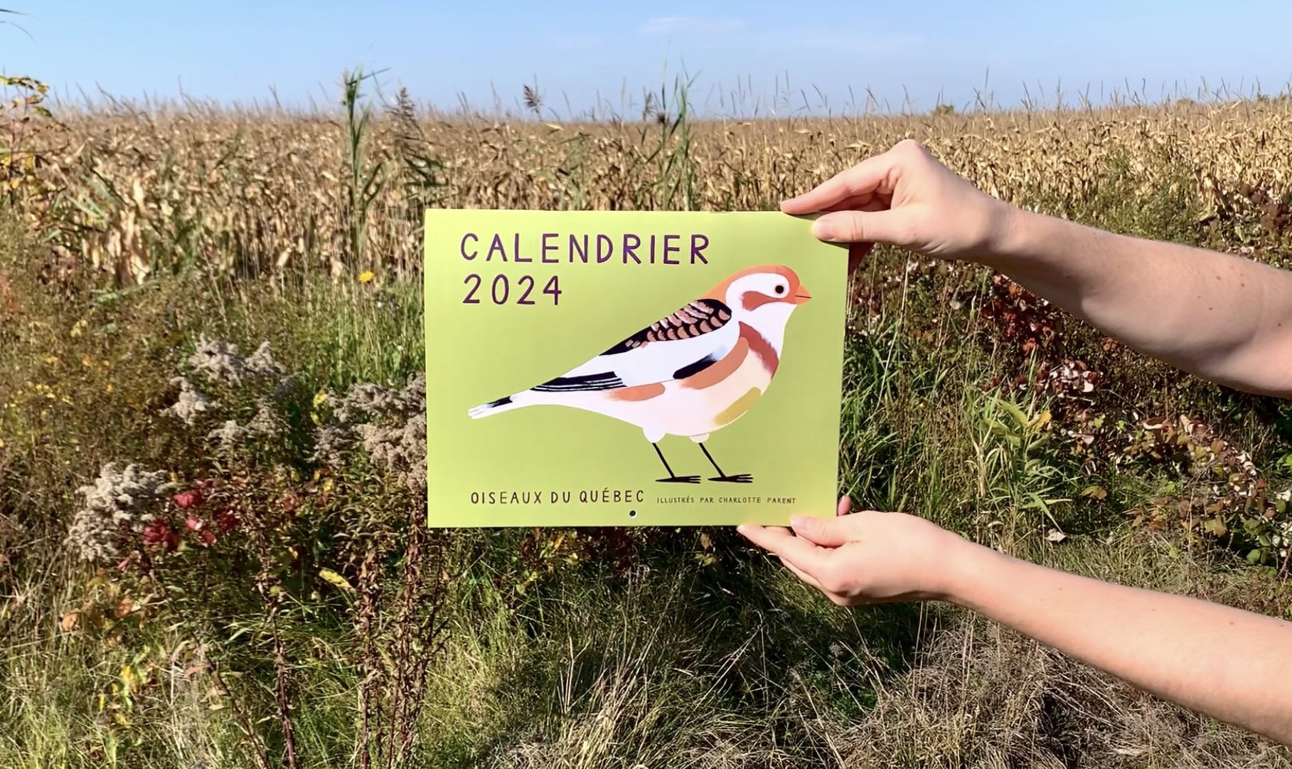 2024 Calendar - Birds of Quebec | La Ruche