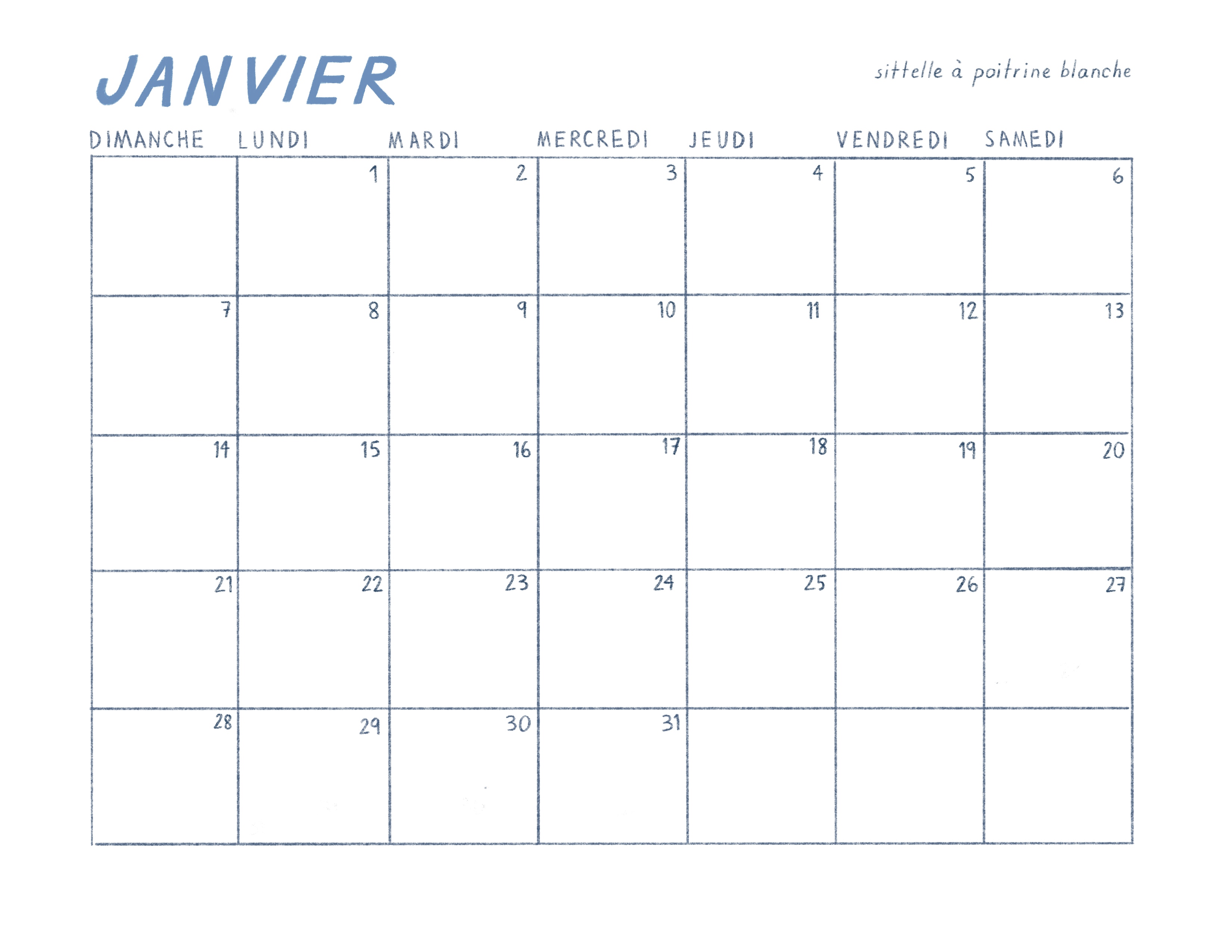 Calendrier 2024 - Oiseaux du Québec | La Ruche