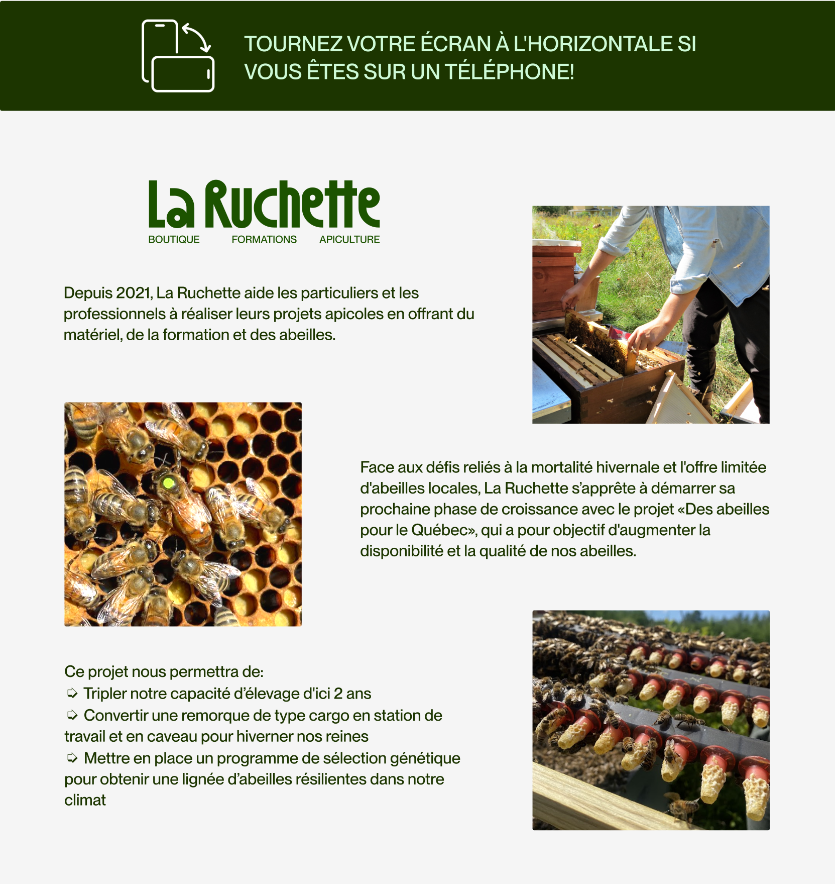 Des abeilles pour le Québec! | La Ruche