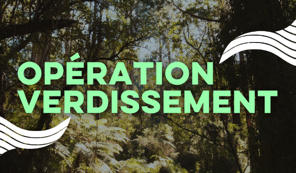 Opération Verdissement | La Ruche