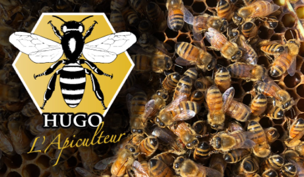 Des abeilles pour nos champs! | La Ruche